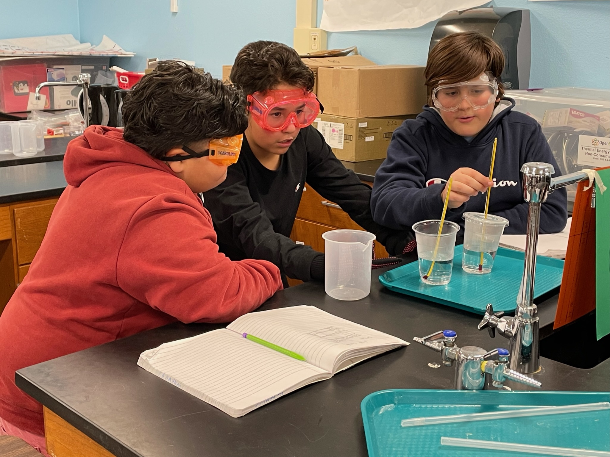 OpenSciEd's Middle School Teacher Academy: Foundations - OpenSciEd