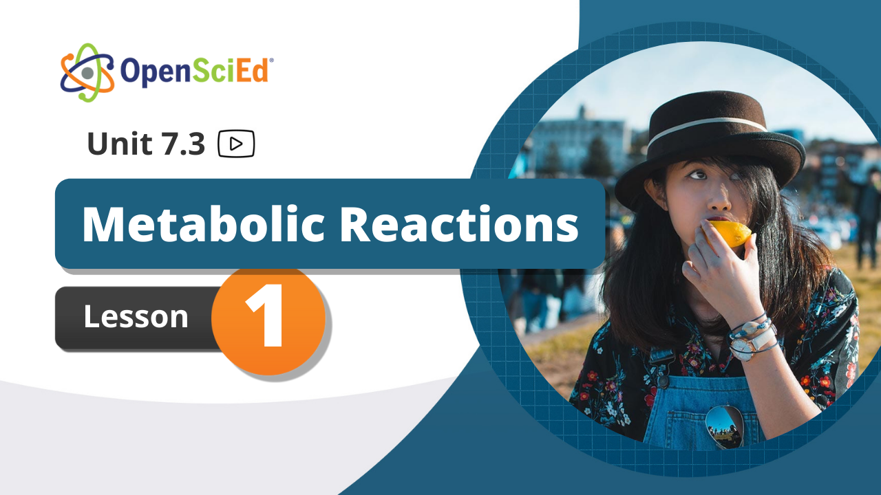 7th Grade Unit Resources - OpenSciEd