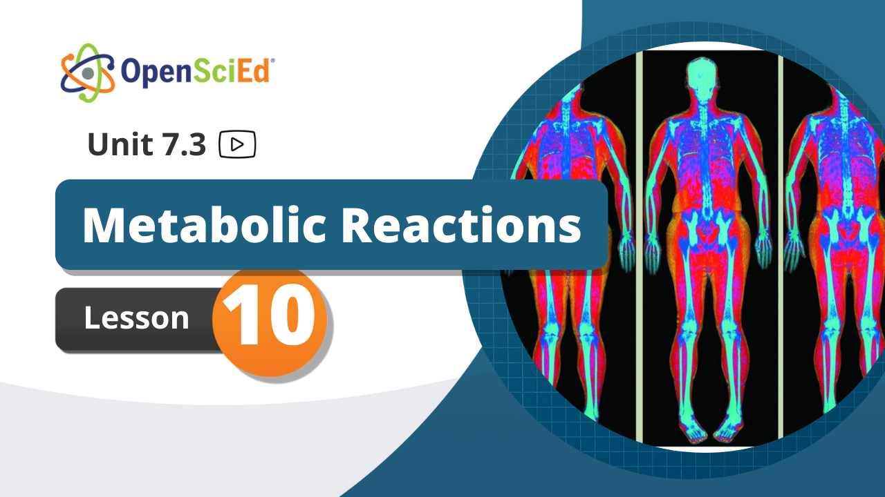 7th Grade Unit Resources - OpenSciEd