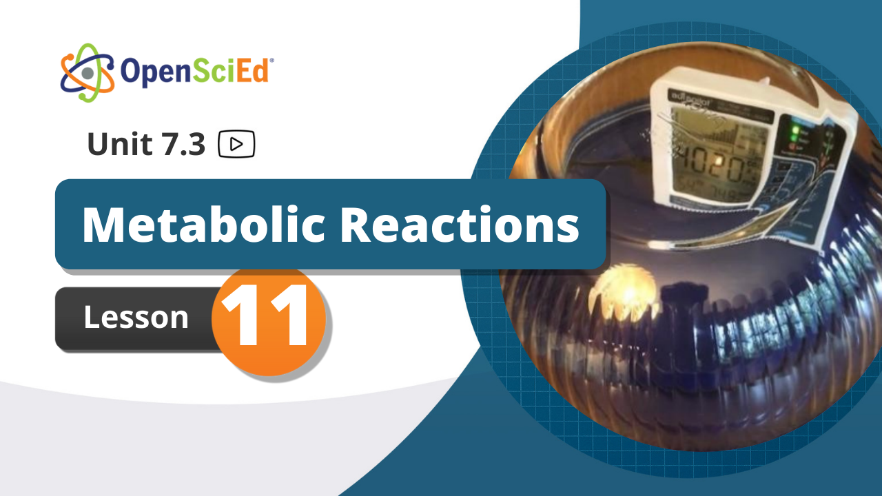 7th Grade Unit Resources - OpenSciEd