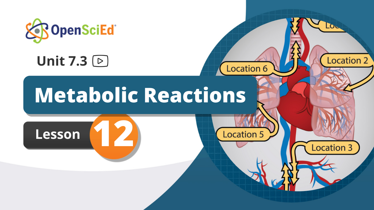 7th Grade Unit Resources - OpenSciEd
