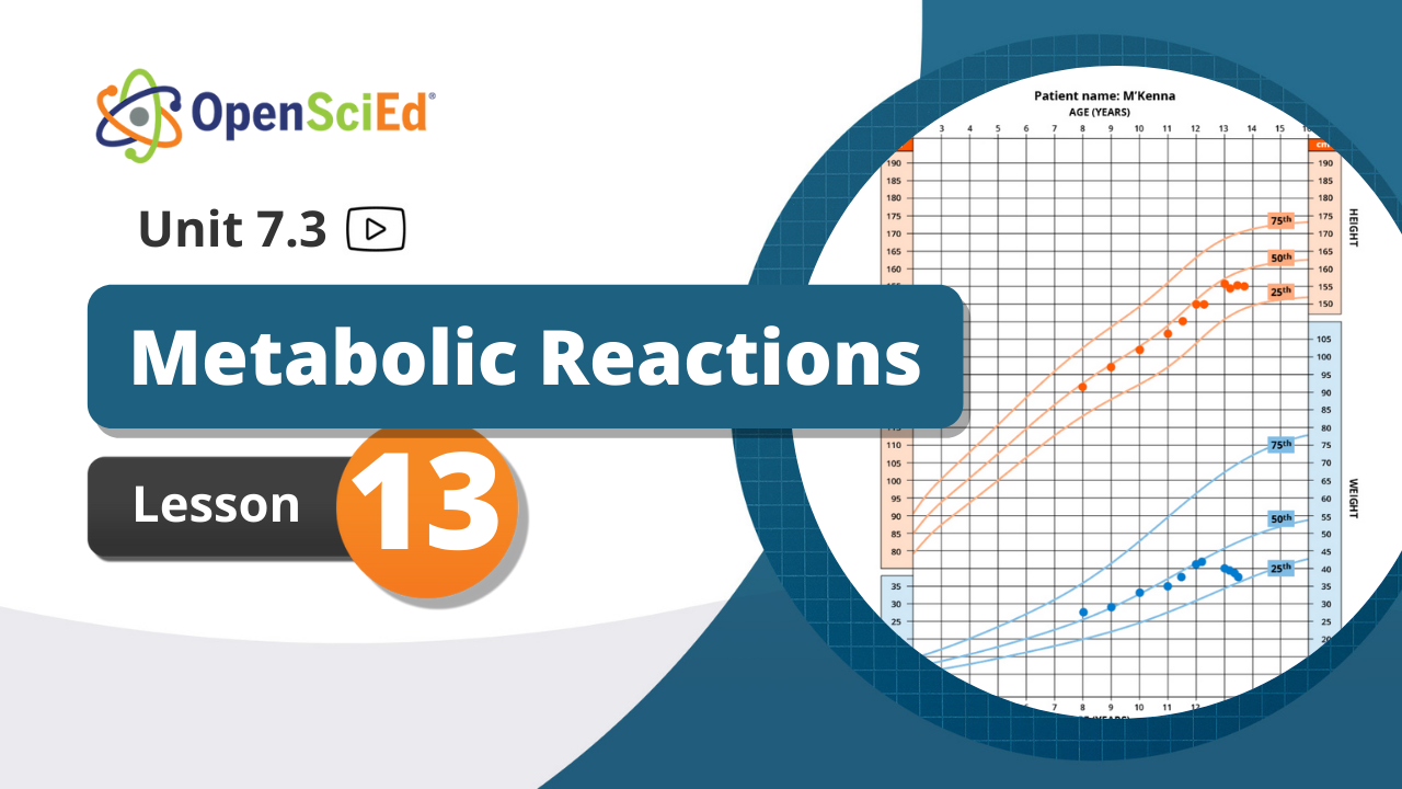 7th Grade Unit Resources - OpenSciEd