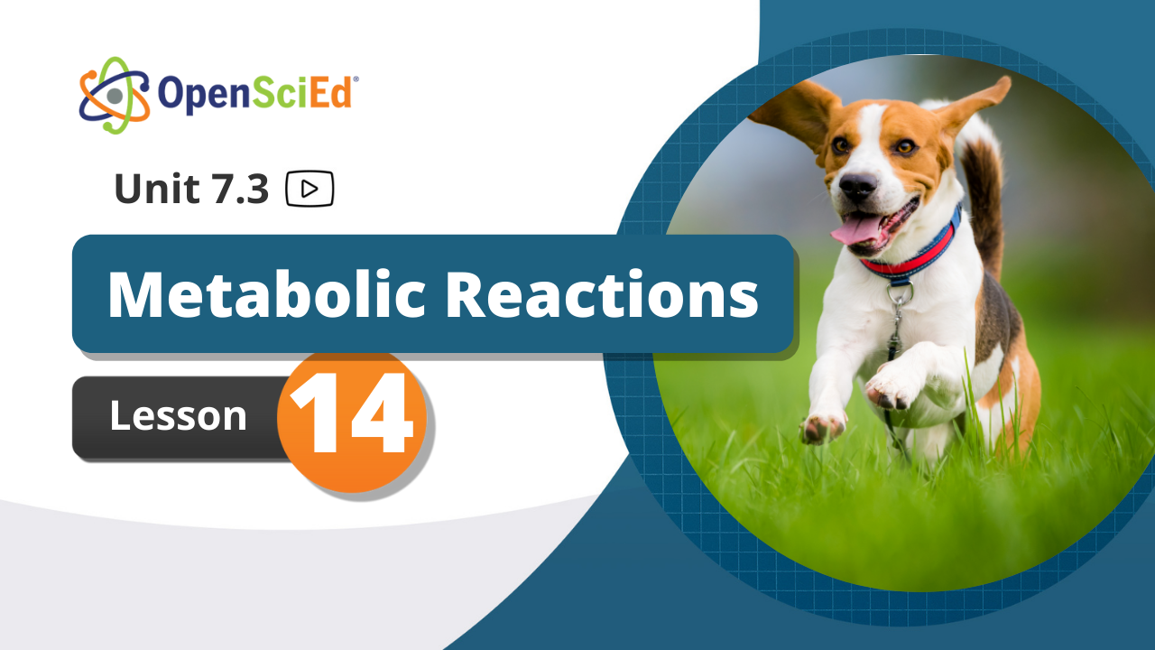 7th Grade Unit Resources - OpenSciEd