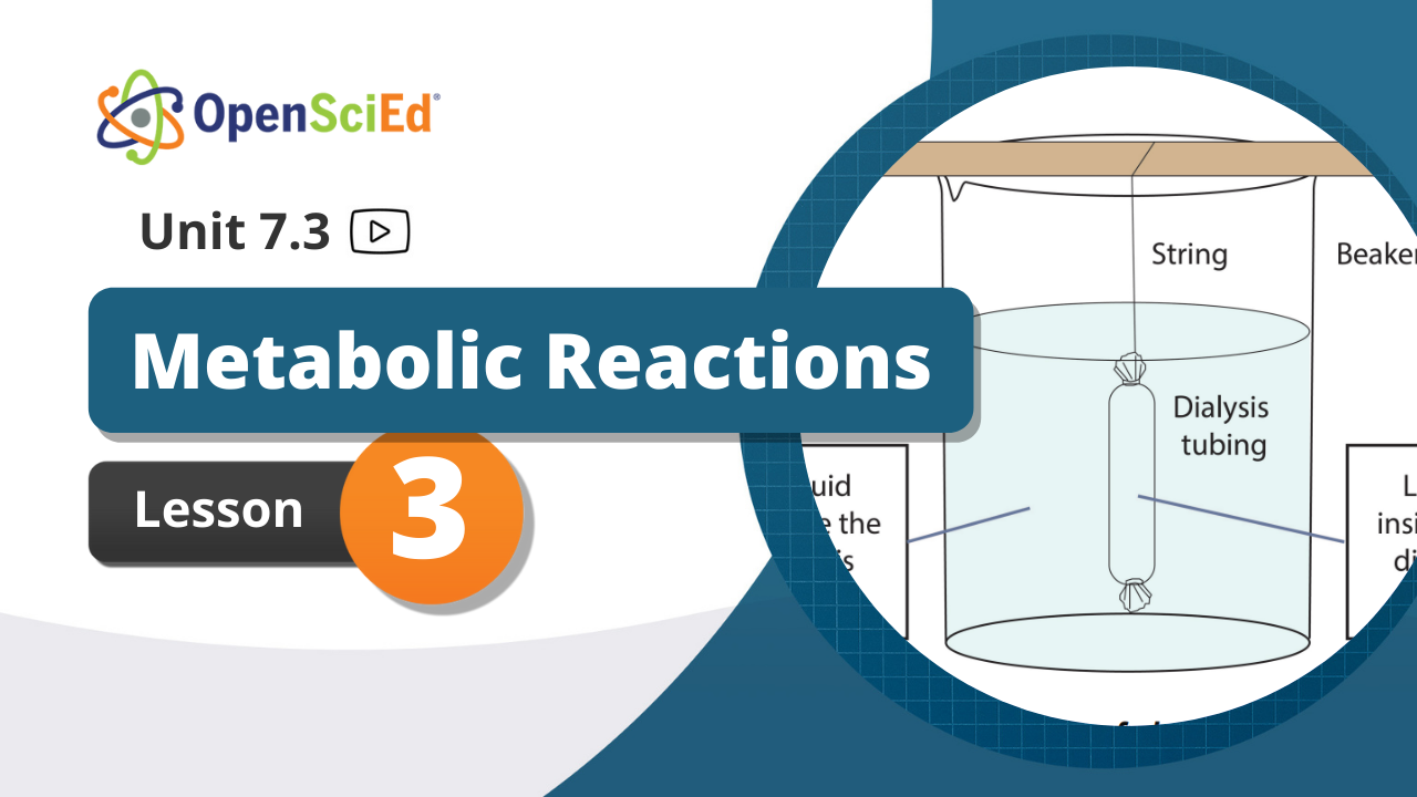 Unit 7.3 Lesson 3 Planning Video - OpenSciEd