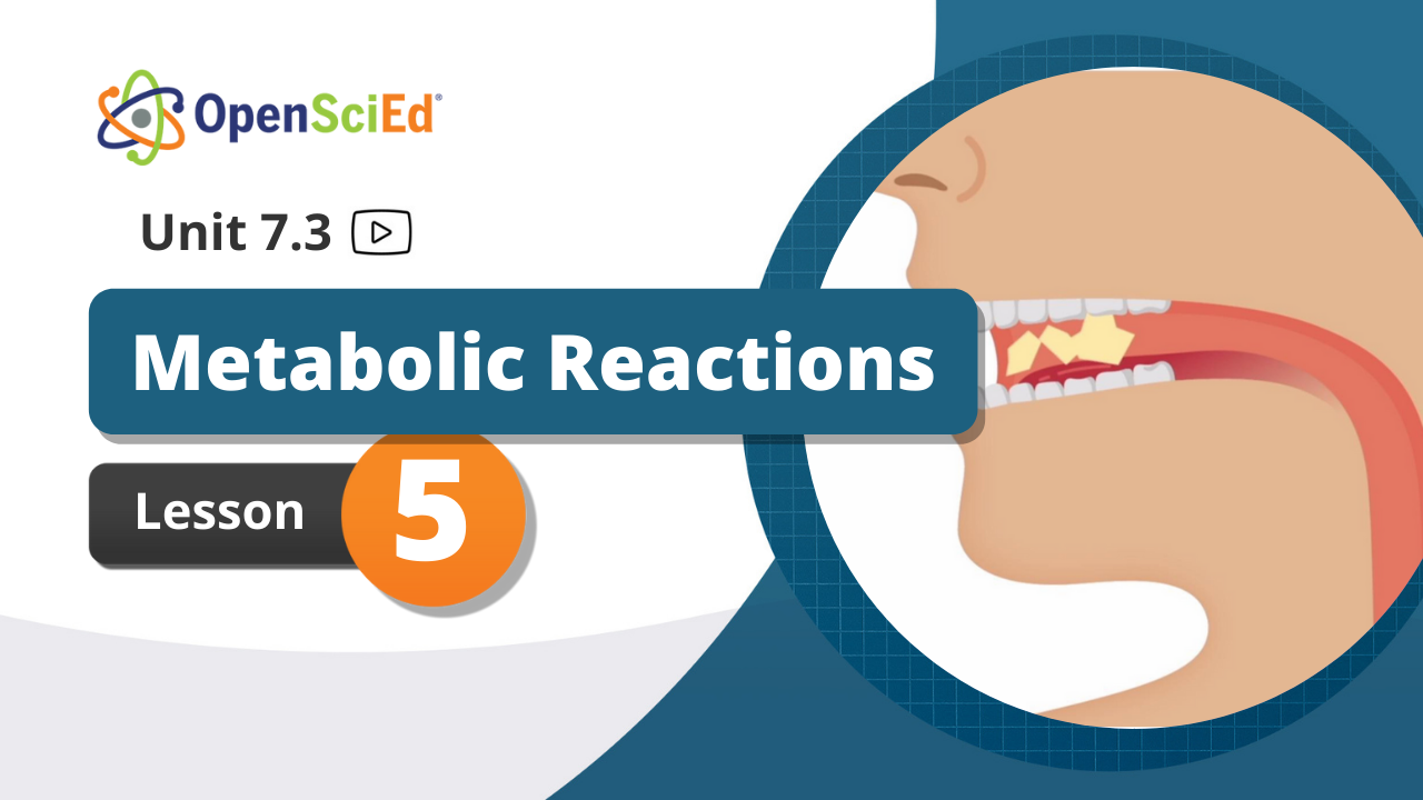 7th Grade Unit Resources - OpenSciEd