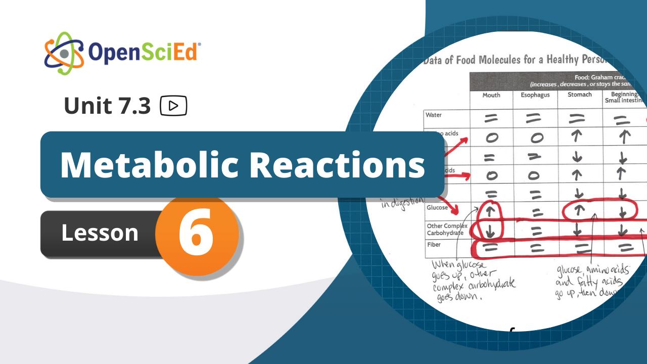 7th Grade Unit Resources - OpenSciEd