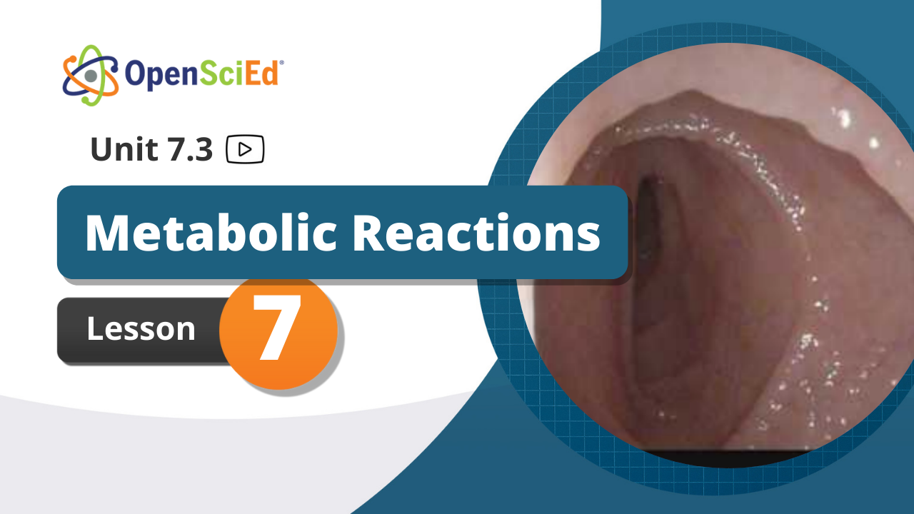 7th Grade Unit Resources - OpenSciEd