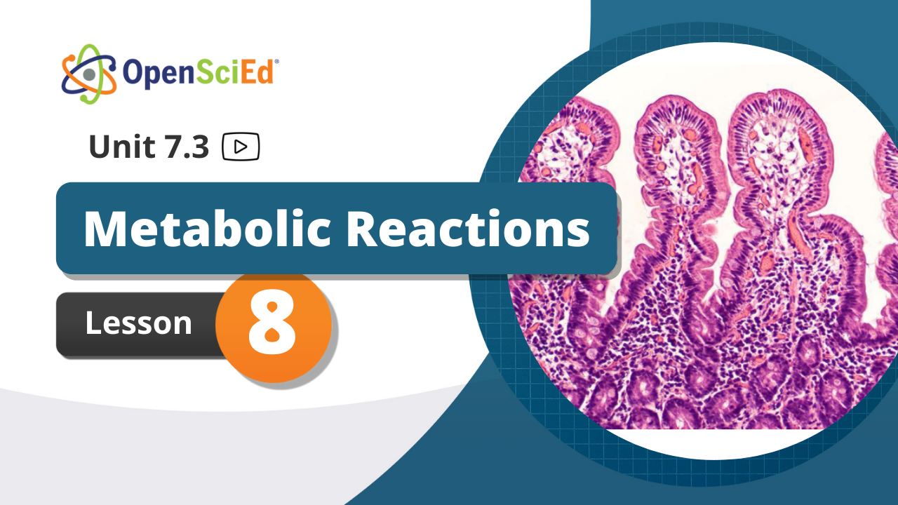 7th Grade Unit Resources - OpenSciEd